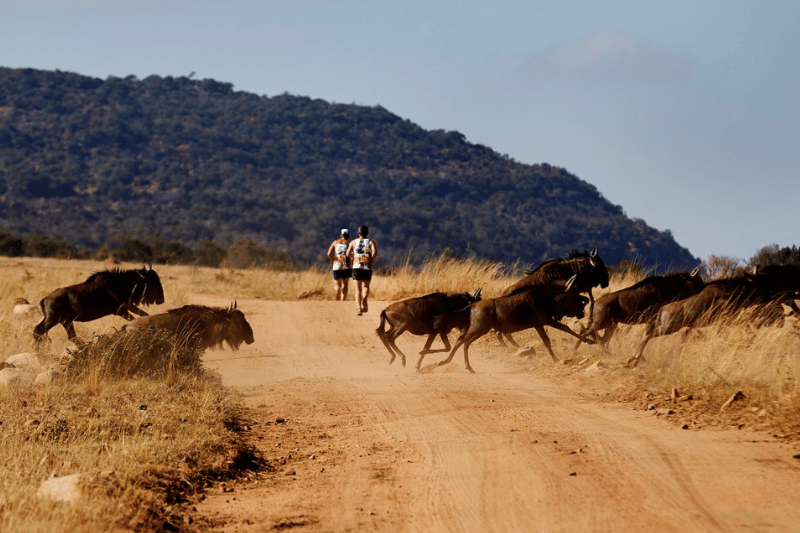 10 of the Most Extreme Marathons in the World